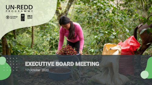 UN-REDD Executive Board 17 Oct 2023 PPT | UNREDD Programme